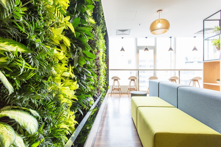 Five ways to connect with nature in the workplace - Generation Next
